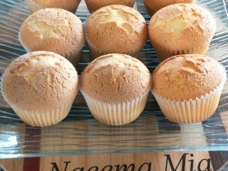 1000's of Halaal Recipes