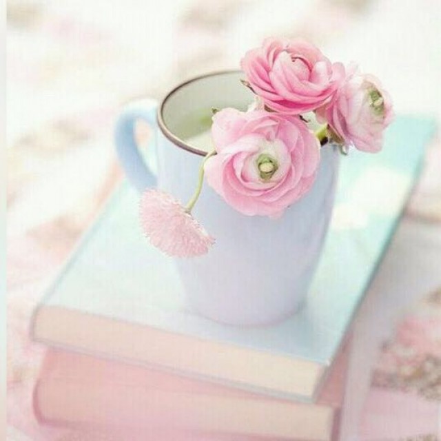 Goolab Jamun recipe by Somayya